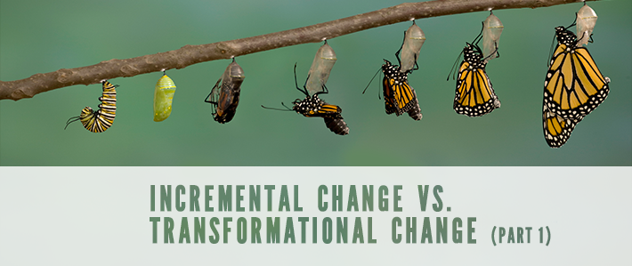 Incremental Change vs. Transformational Change (Part 1)
