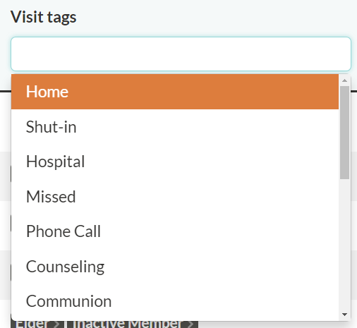 Updates to the Pastoral Visits Feature
